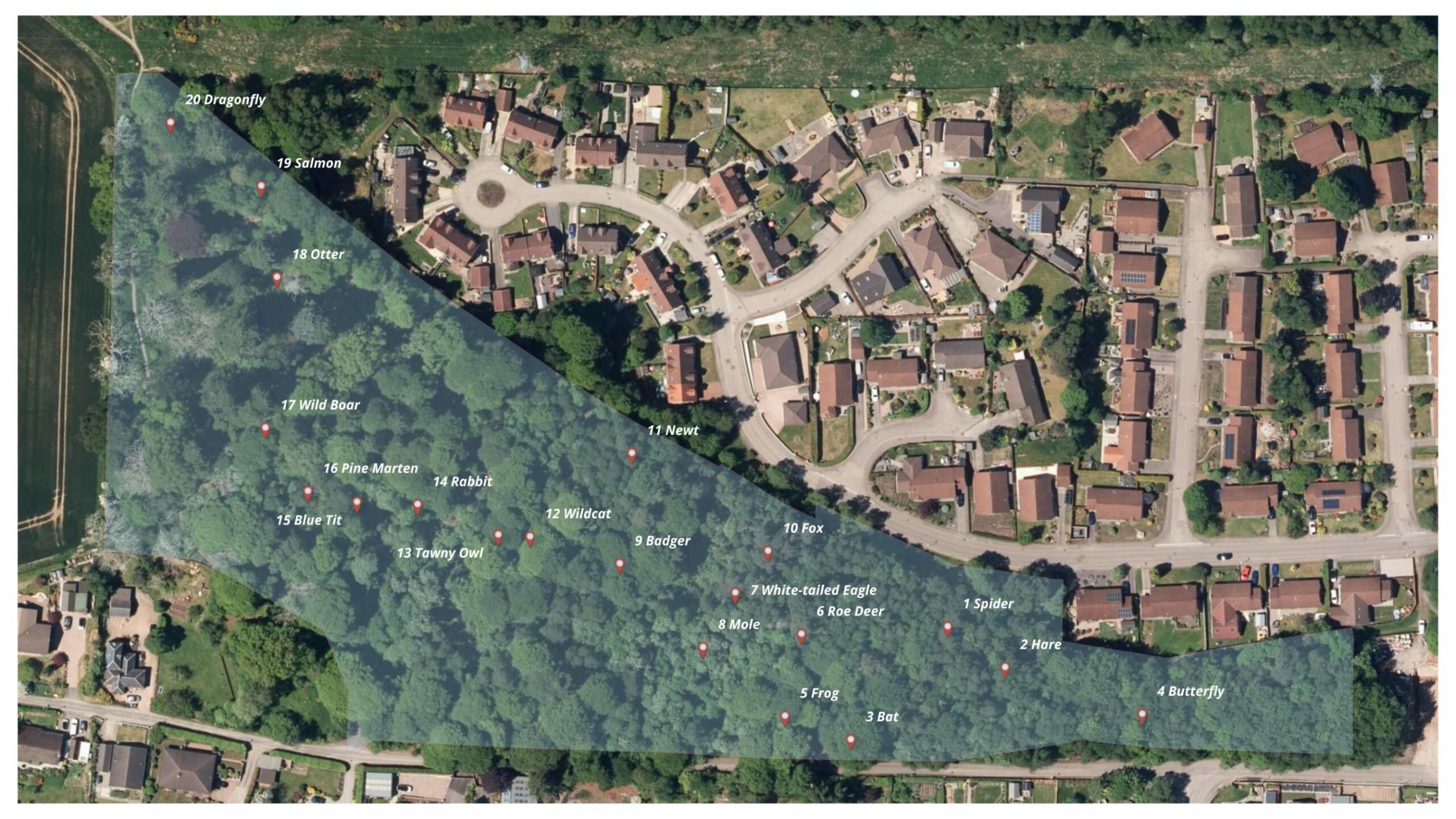 Maryburgh Hub - Animal trail large Web Map
